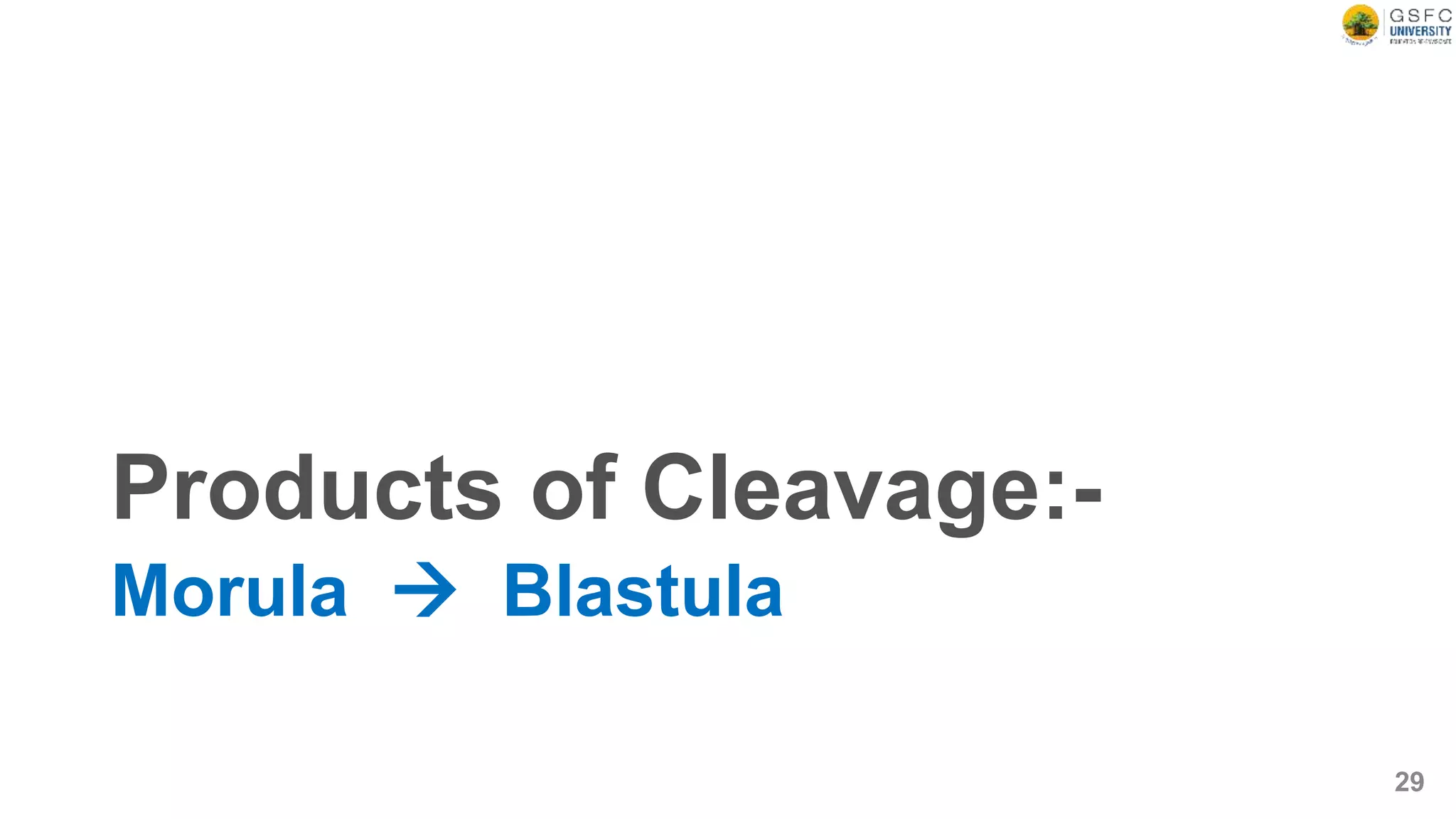 Cleavage: Definition, types, and mechanism | PPTX