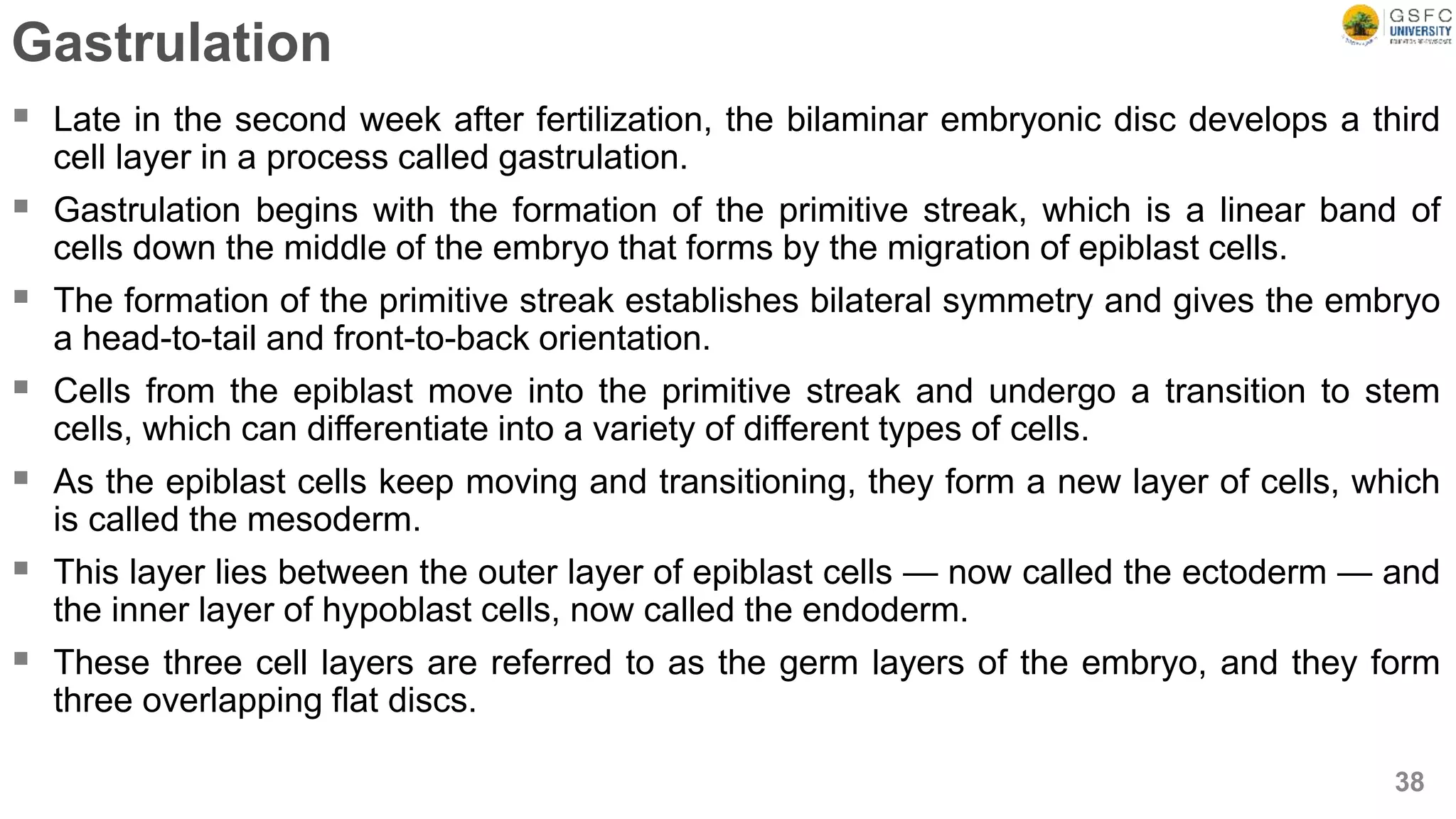 Cleavage: Definition, types, and mechanism | PPTX
