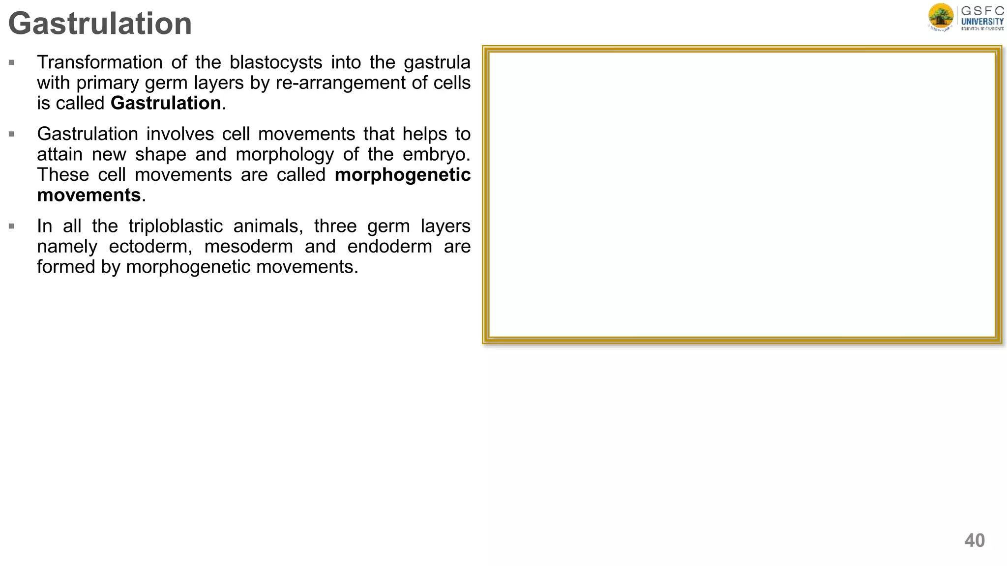 Cleavage: Definition, types, and mechanism | PPTX