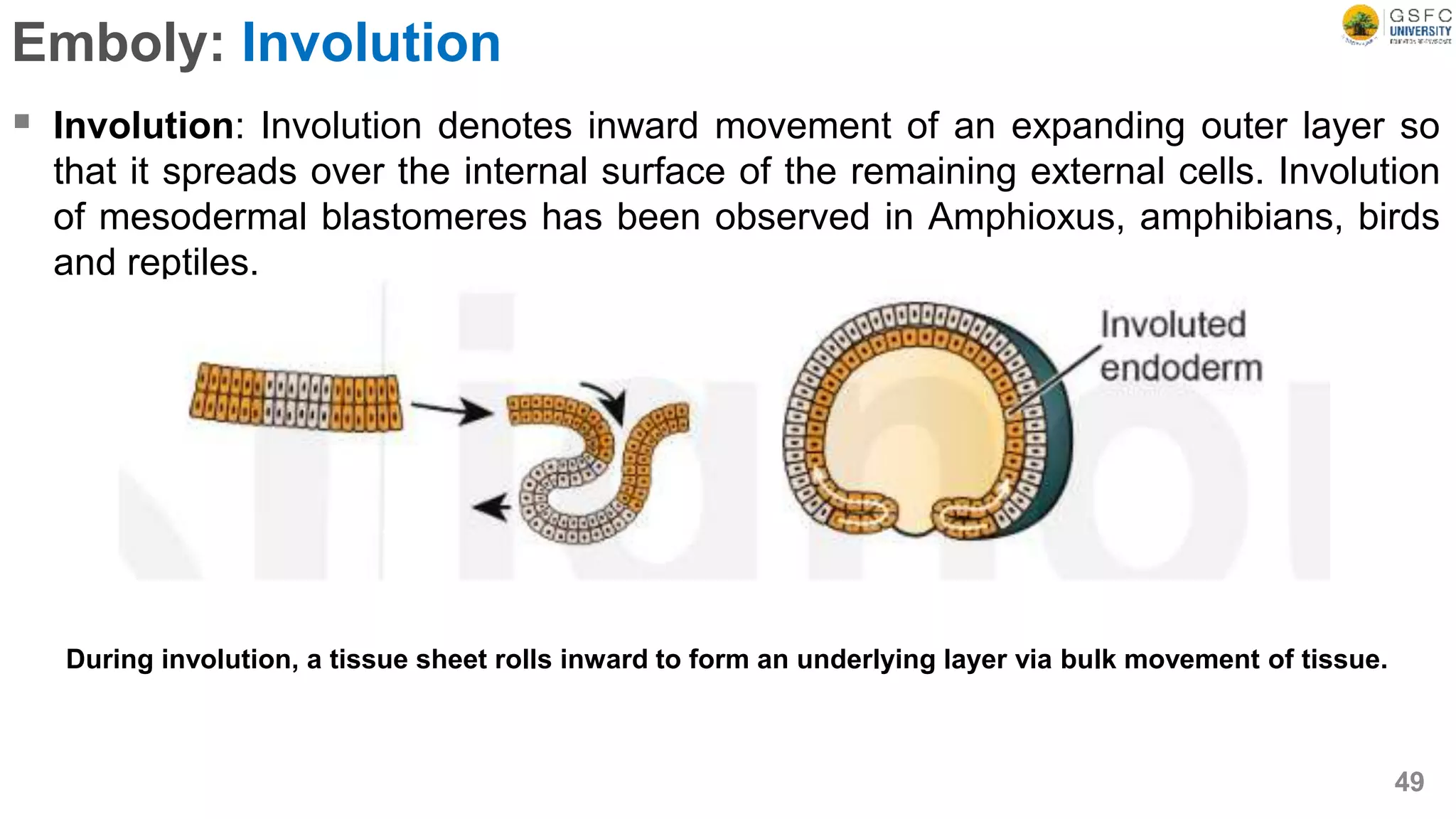Cleavage: Definition, types, and mechanism | PPTX