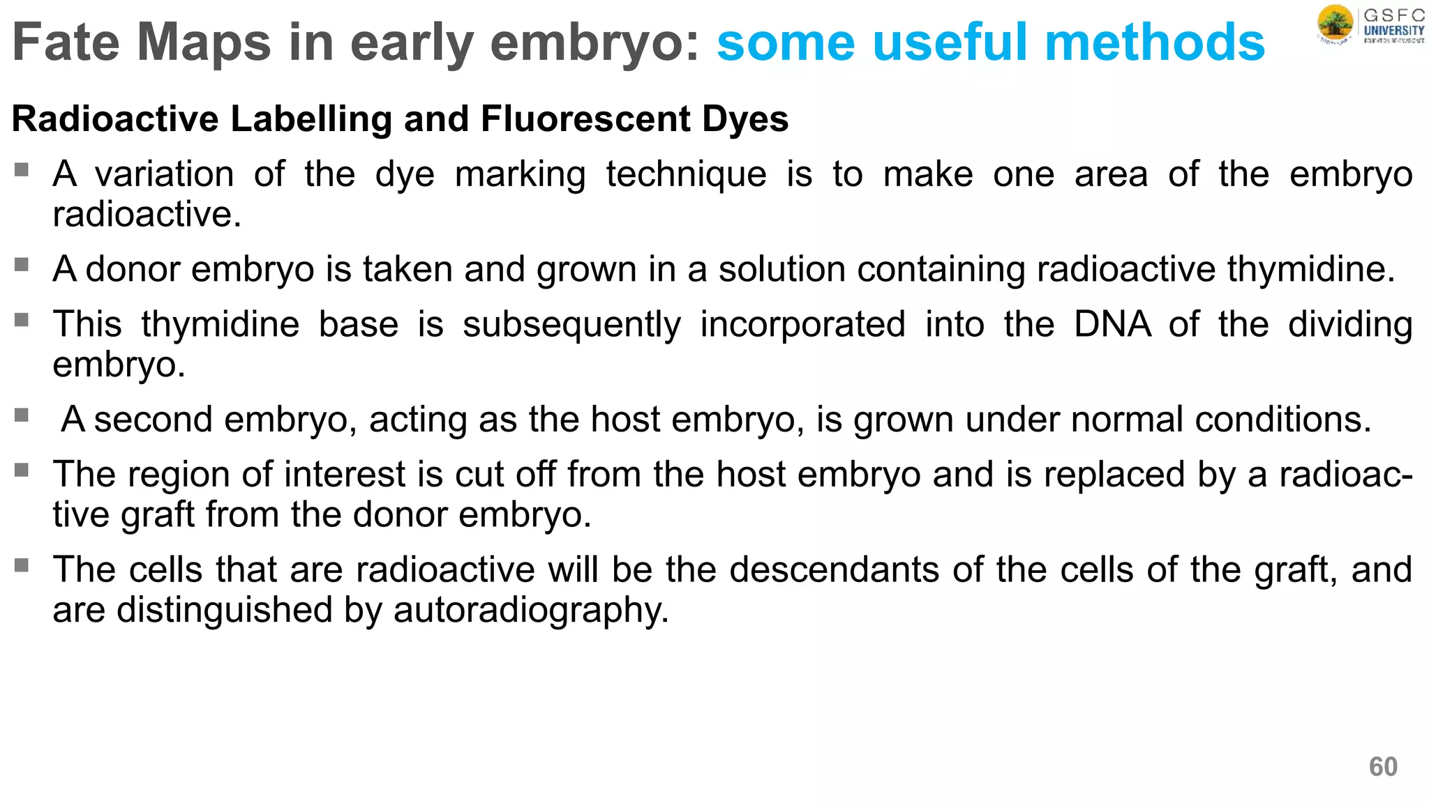 Cleavage: Definition, types, and mechanism | PPTX