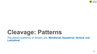 Cleavage: Definition, types, and mechanism | PPTX