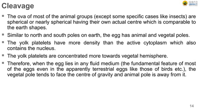 Cleavage: Definition, types, and mechanism | PPTX