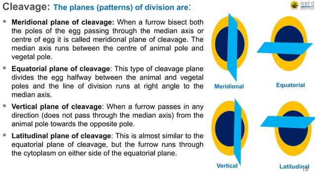 Cleavage: Definition, types, and mechanism | PPTX