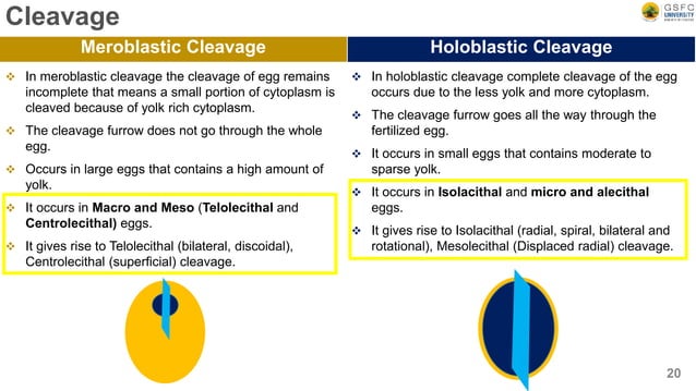 Cleavage: Definition, types, and mechanism | PPTX