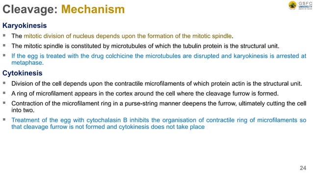 Cleavage: Definition, types, and mechanism | PPTX