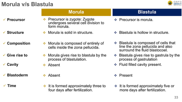 Cleavage: Definition, types, and mechanism | PPTX