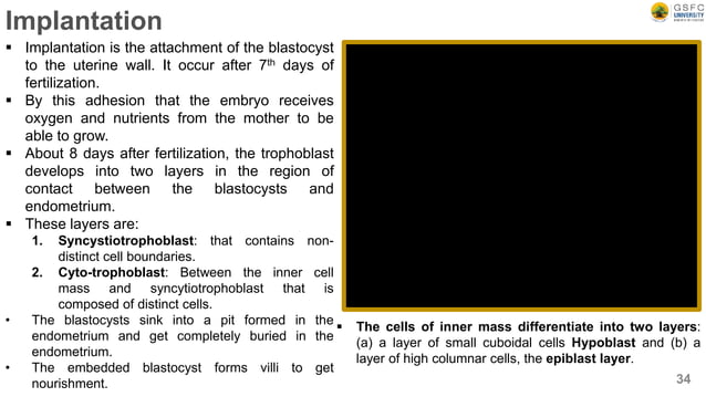 Cleavage: Definition, types, and mechanism | PPTX
