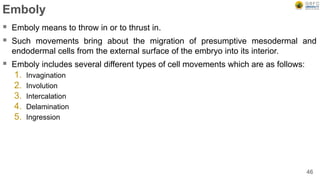 Cleavage: Definition, types, and mechanism | PPTX