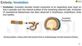Cleavage: Definition, types, and mechanism | PPTX