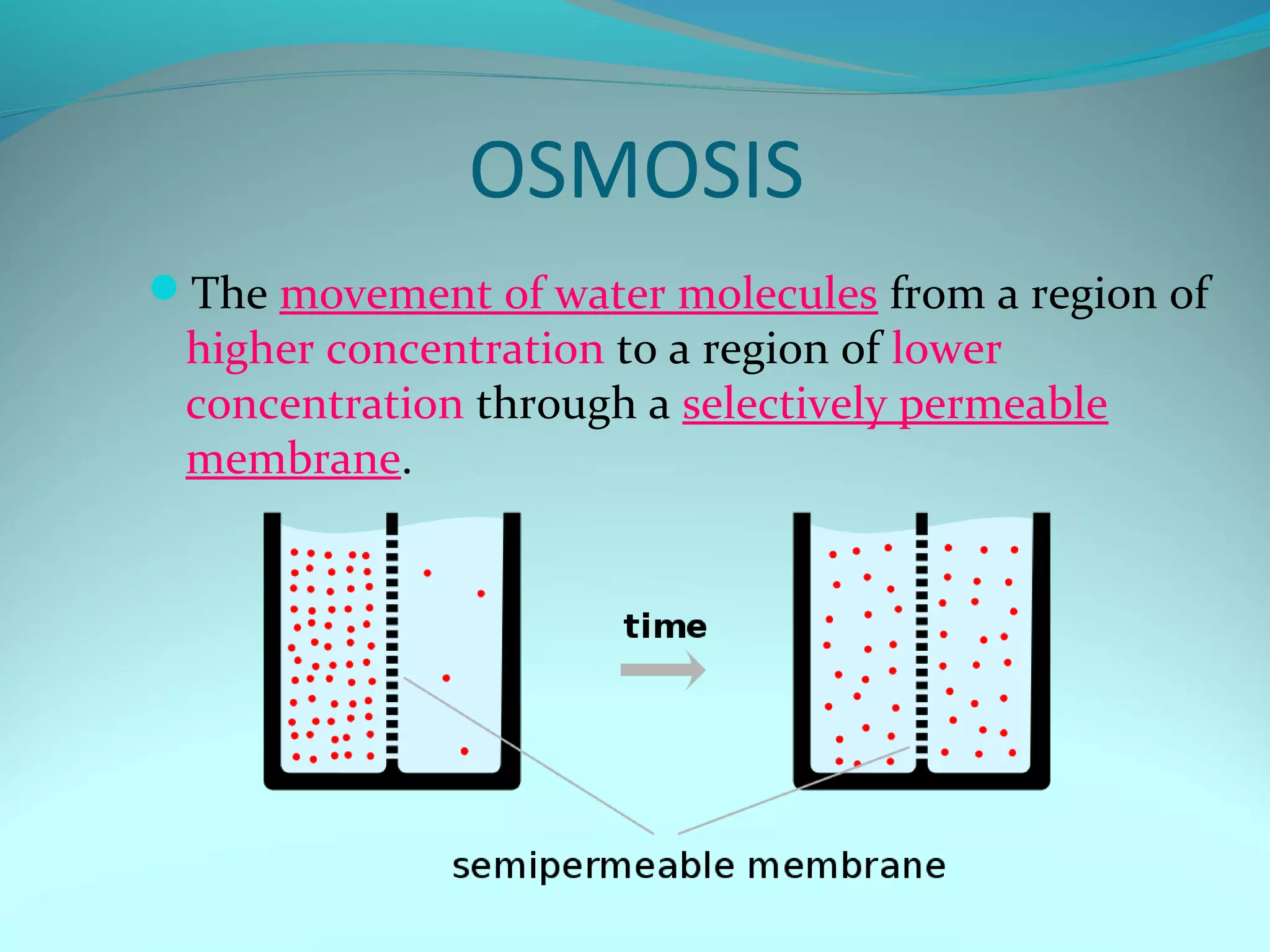 Unit 2 diffusion and osmosis | PPT | Chemistry | Science