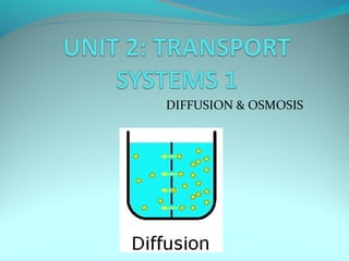 Unit 2 diffusion and osmosis | PPT