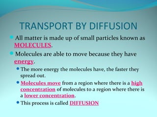 Unit 2 diffusion and osmosis | PPT