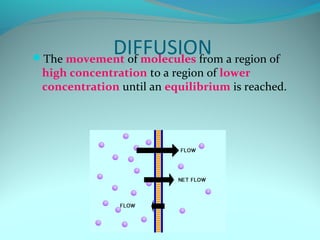 Unit 2 diffusion and osmosis | PPT