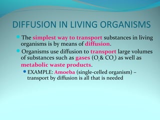 Unit 2 diffusion and osmosis | PPT | Chemistry | Science