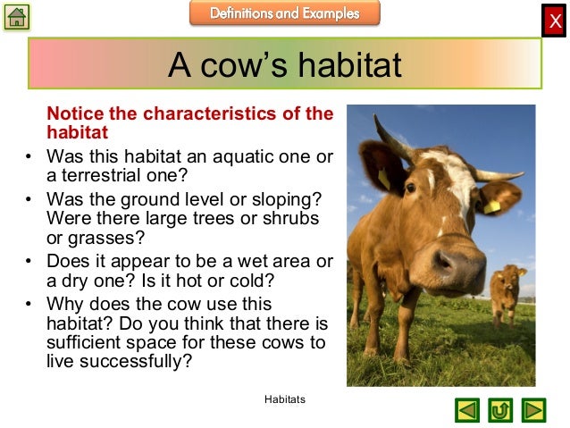 Biology M1 Ecology Habitats