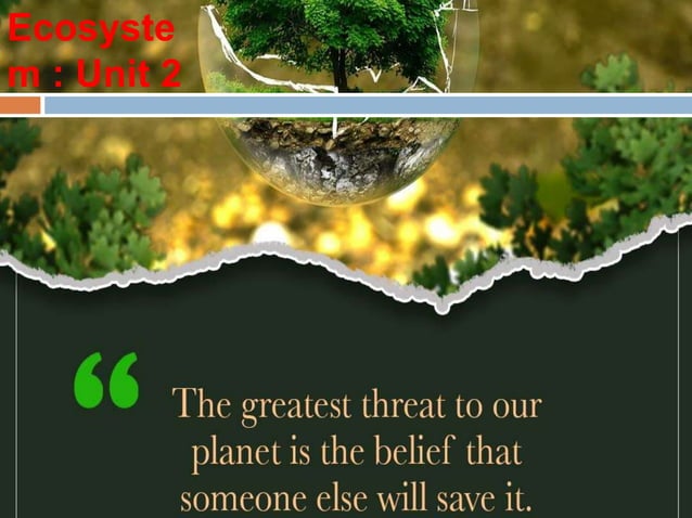 Unit 2 Ecosystem edited.pptx and environment | PPTX