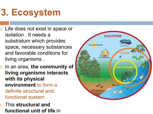 Unit 2 Ecosystem edited.pptx and environment | PPTX