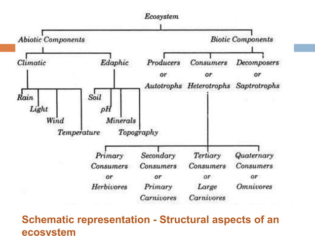Unit 2 Ecosystem edited.pptx and environment | PPT