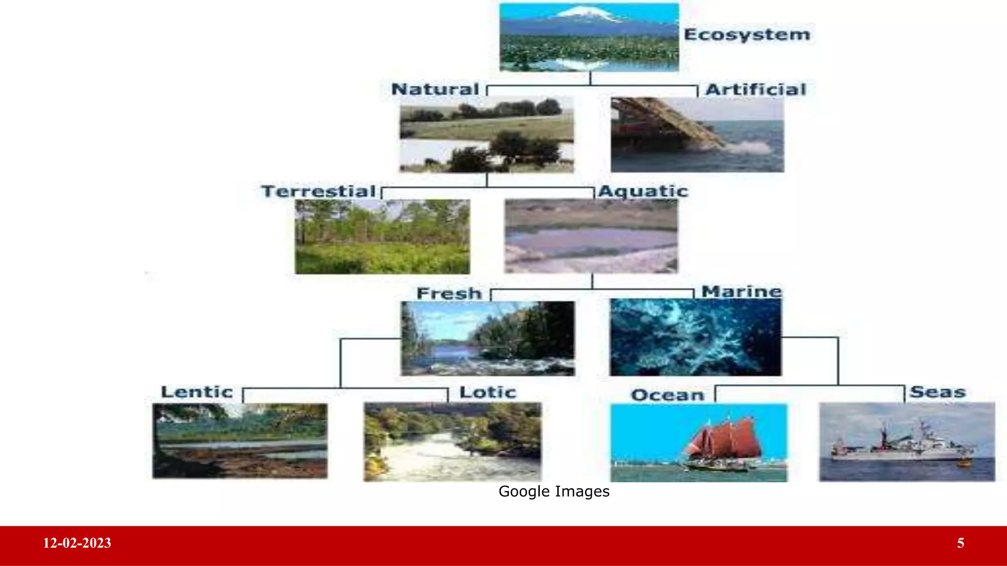 Unit 2 Ecosystems.pptx