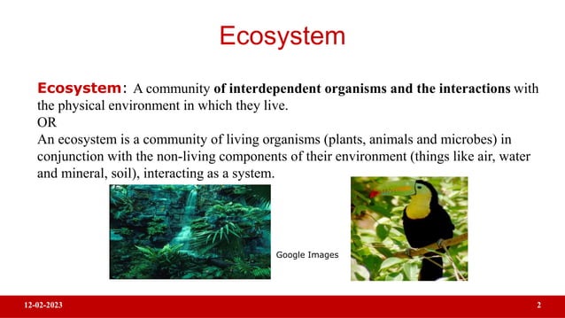 Unit 2 Ecosystems.pptx