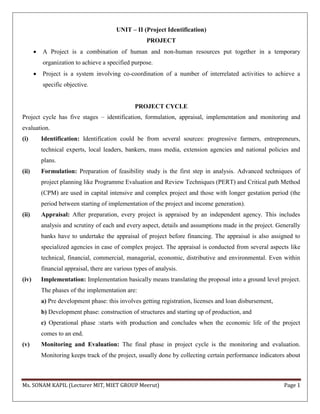 Entrepreneurship (Project identification) | PDF