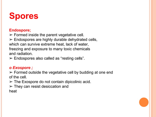 Endospores_Dr Jagadisha T V _CSD 2nd pptx | PPT