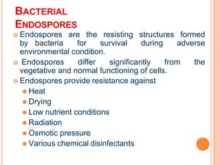 Endospores_Dr Jagadisha T V _CSD 2nd pptx | PPT