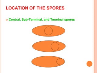 Endospores_Dr Jagadisha T V _CSD 2nd pptx | PPT