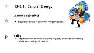 UNIT 2_ Energy and Metabolism - ENERGY 1 Cellular Energy FV.pptx