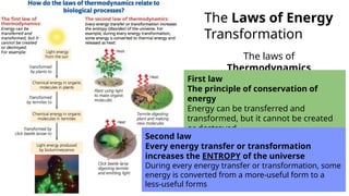 UNIT 2_ Energy and Metabolism - ENERGY 1 Cellular Energy FV.pptx