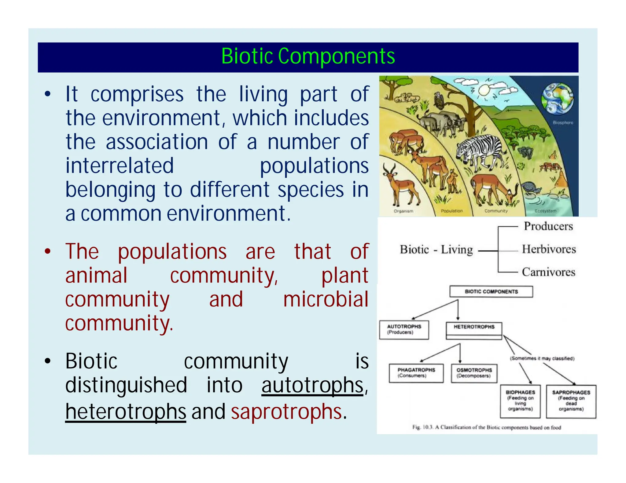 Environmental pollution: types, causes, effects and contr | PDF ...