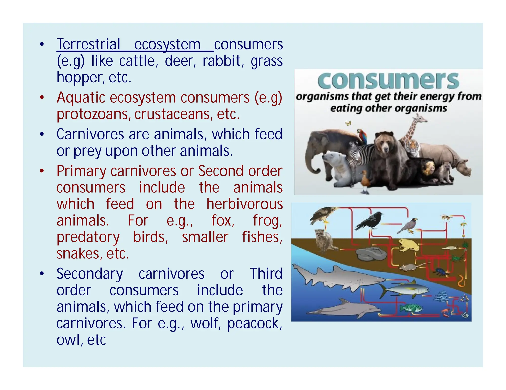 Environmental pollution: types, causes, effects and contr | PDF ...