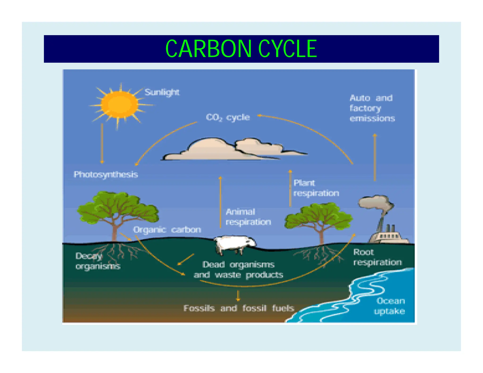Environmental pollution: types, causes, effects and contr | PDF ...