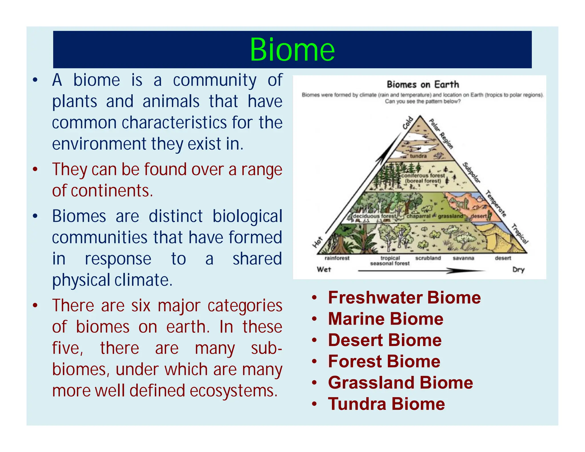 Environmental pollution: types, causes, effects and contr | PDF ...