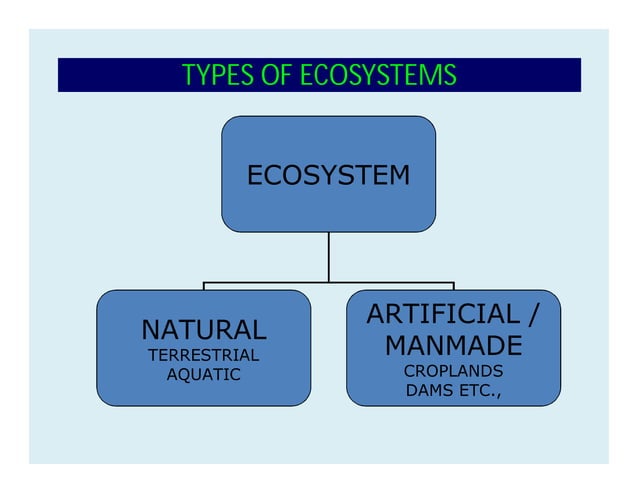 Environmental pollution: types, causes, effects and contr | PDF ...