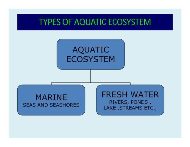 Environmental pollution: types, causes, effects and contr | PDF ...