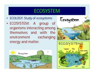 Unit 2 - EVS - Different type of Ecosystems | PDF