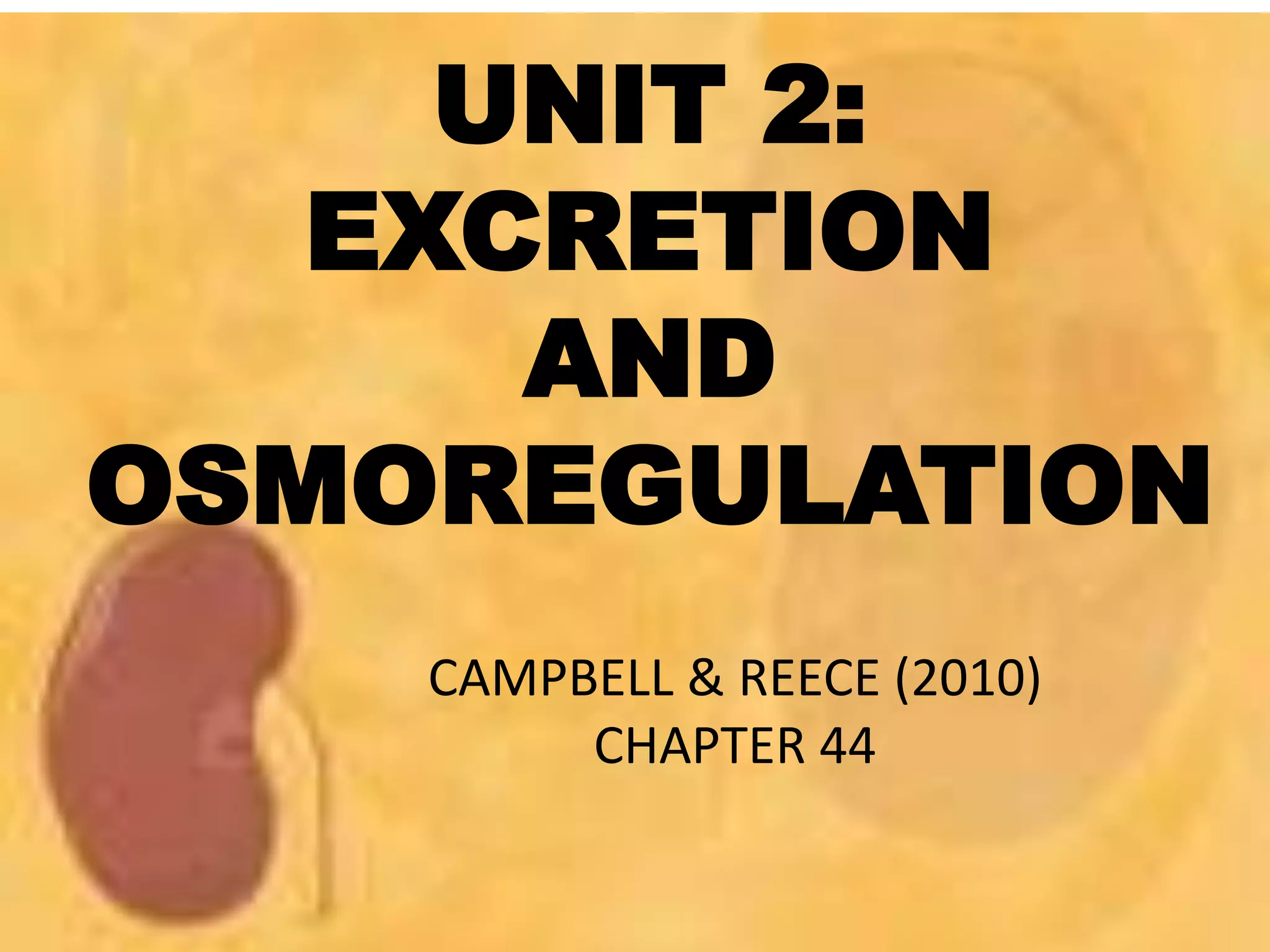 Unit 2 excretion and osmoregulation | PPTX
