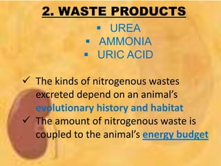 Excretion and osmoregulation(1) | PPTX