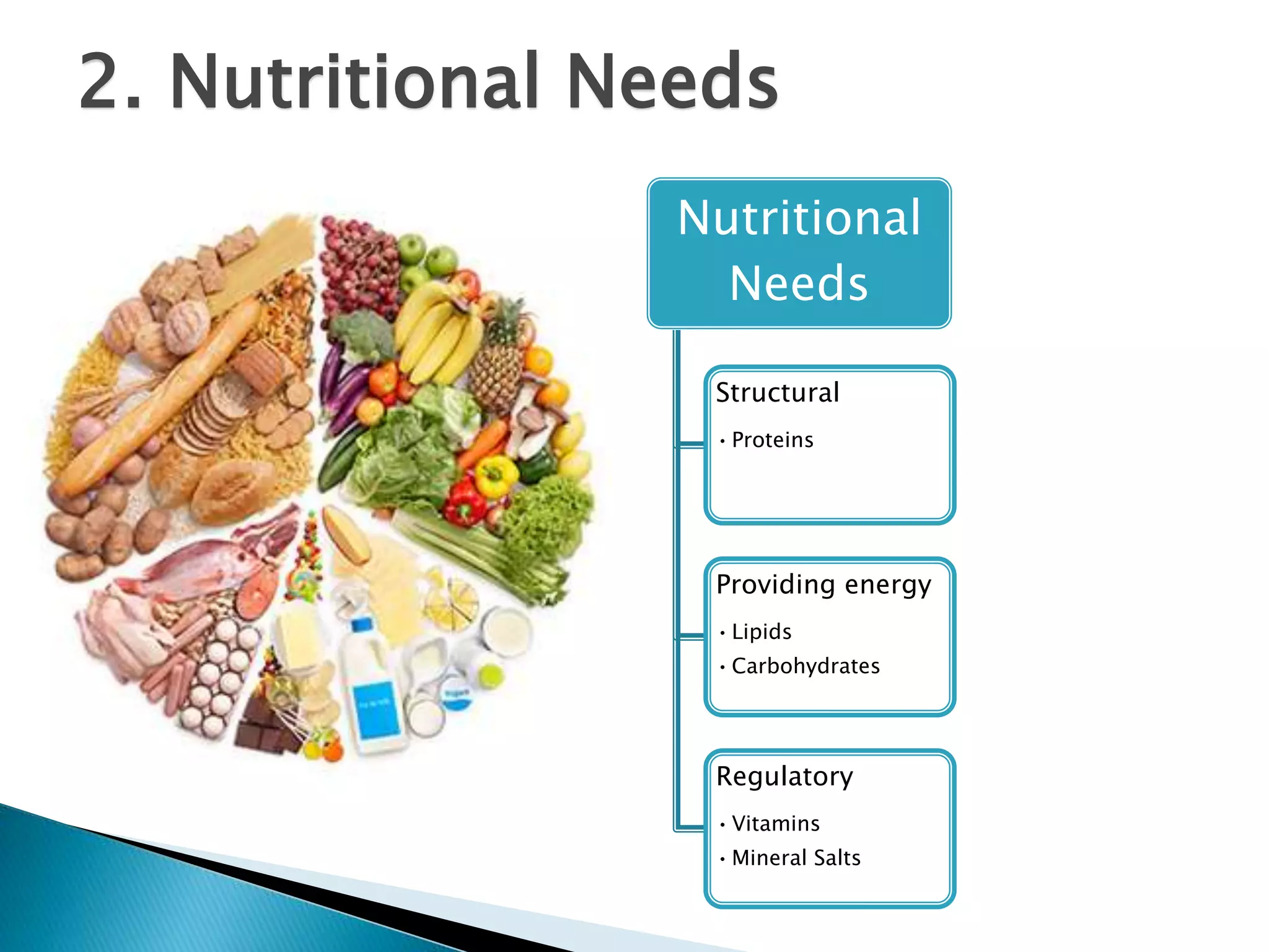 Unit 2: Food and Nutrition | PPTX