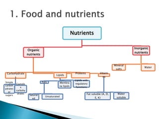 Unit 2: Food and Nutrition | PPTX