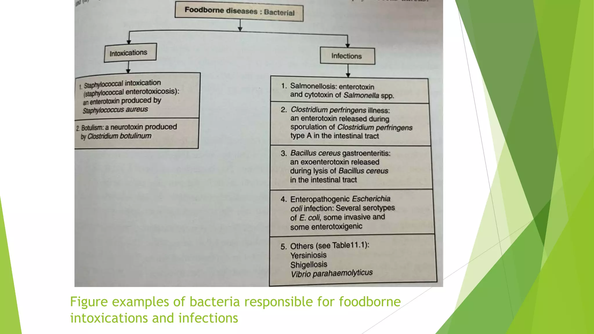 food borne infection.clostridium .pptx