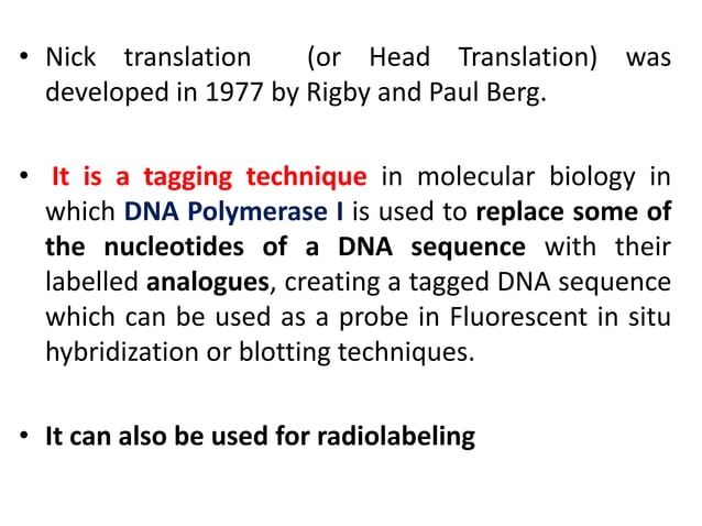 Enzymes used in Genetic Engineering | PPTX