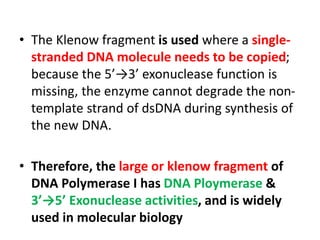 Enzymes used in Genetic Engineering | PPTX