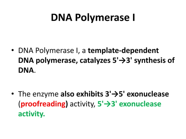 Enzymes used in Genetic Engineering | PPTX
