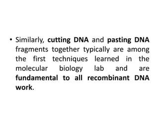 Enzymes used in Genetic Engineering | PPTX
