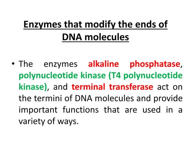 Enzymes used in Genetic Engineering | PPTX