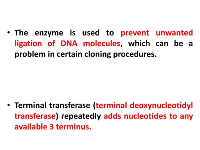 Enzymes used in Genetic Engineering | PPTX