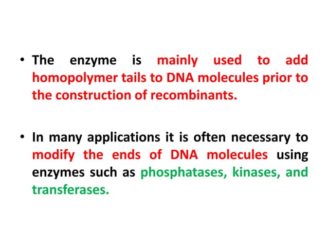 Enzymes used in Genetic Engineering | PPTX